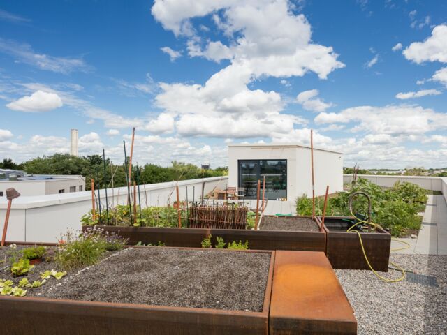 wagnisART - wagnis.org